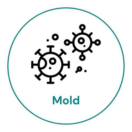 Inhale in the purest air with Airth air purifier for ac